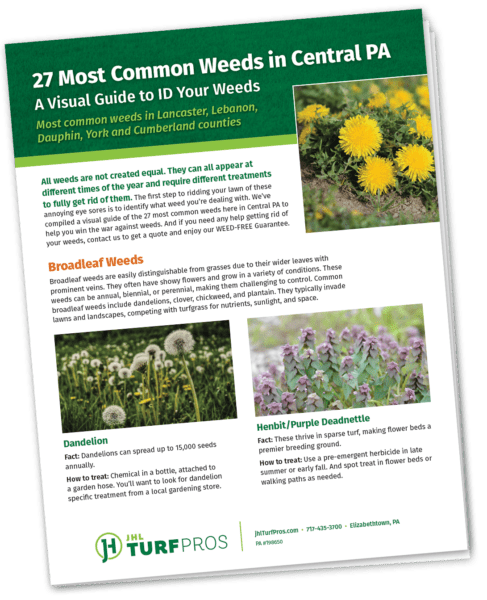Free Weed Guide - JHL Turf Pros